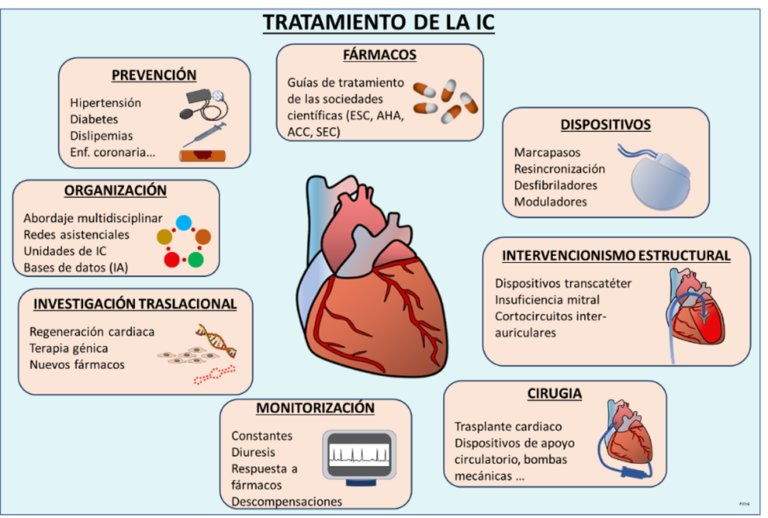Tratamiento de la insuficiencia cardiaca - Fundación Quaes