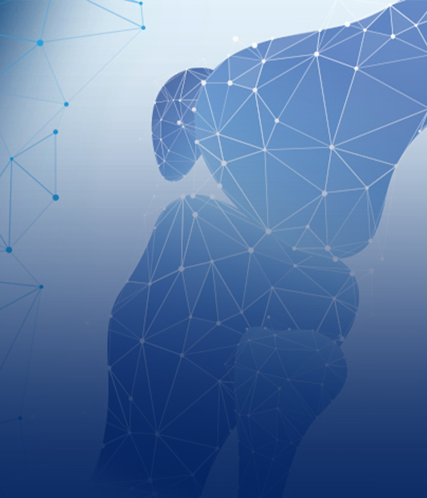 Proyecto Oasis - Fundación Quaes